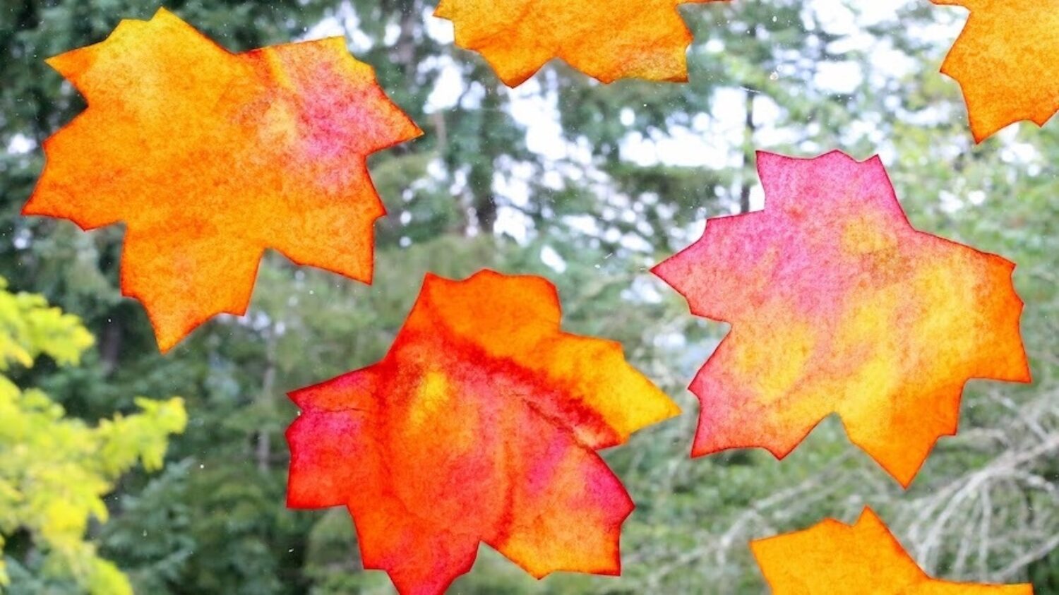 Celebrate Fall with Weather Hunters!